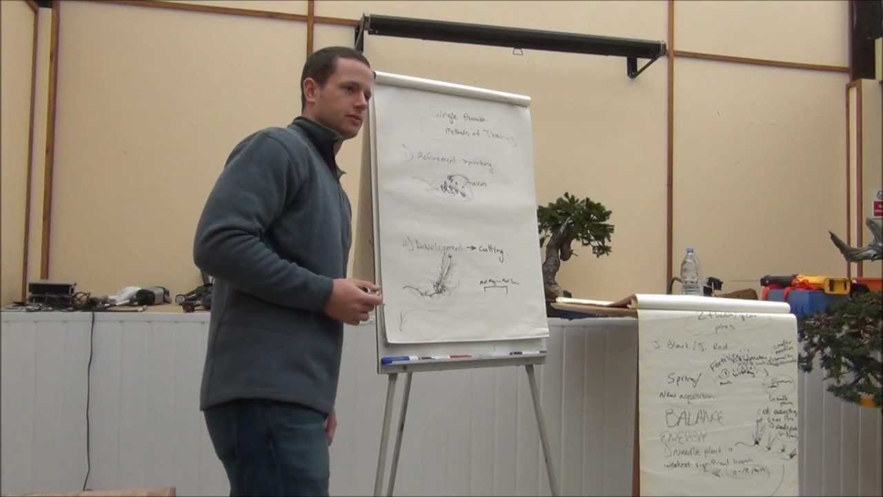 Ryan Neil Lecture on Pines Part 2