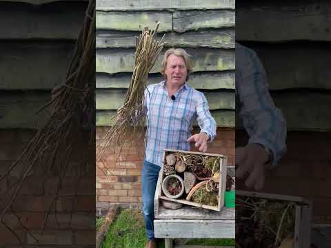 Making bug hotels