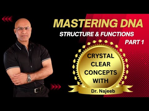 DNA Structure | DNA Function | Cell Biology | Part 1