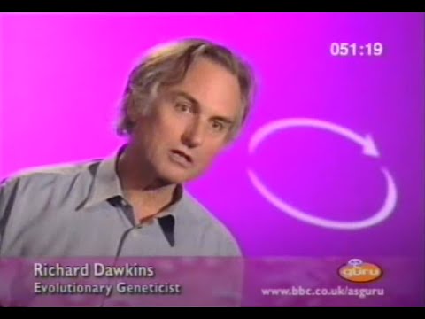 DNA Structure (Core and AHL) | i-Biology