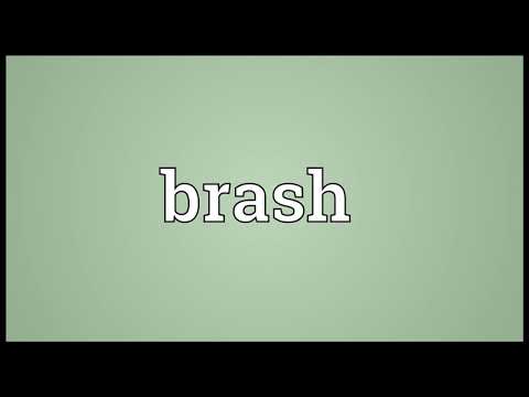 Brash Meaning