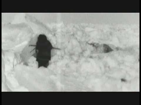 ARCTIC DREAMER: The Lonely Quest of Viljhalmur Stefansson (Trailer)
