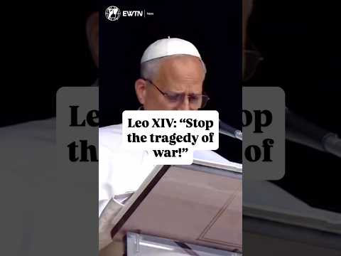 Pope Leo XIV: Stop the Tragedy of War | Angelus Appeal for Peace