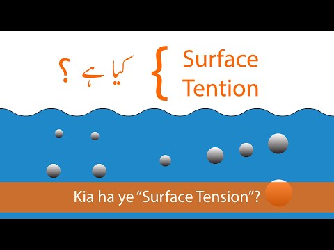 Surface Tension in Urdu Hindi