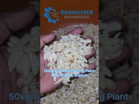 Garlic Peeling Plant Ahmedabad Gujarat #newbusinessideas #garlicmachine