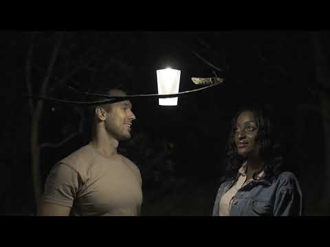 d light Solar Lamps - Latest Price, Dealers & Retailers in India