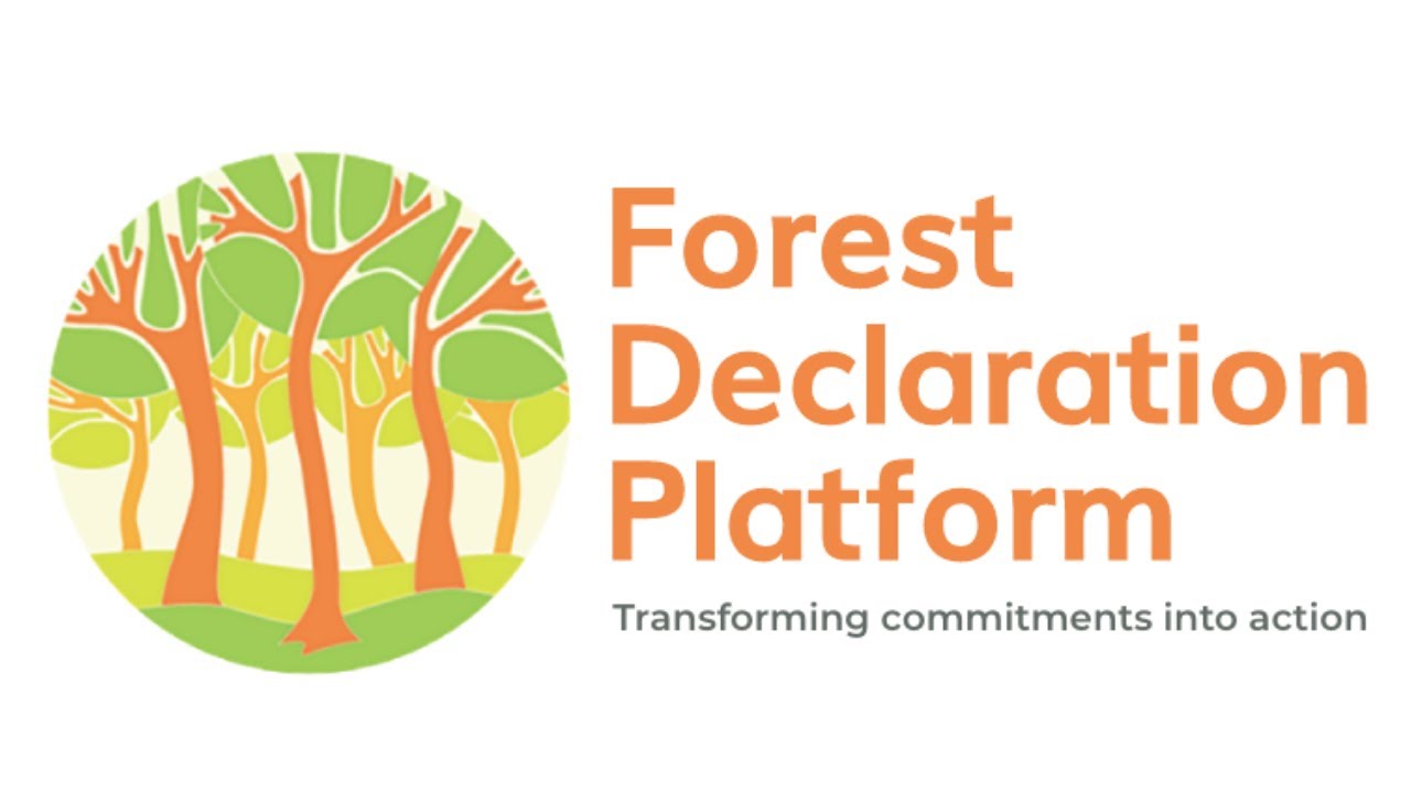 Introducing: Forest Declaration Platform