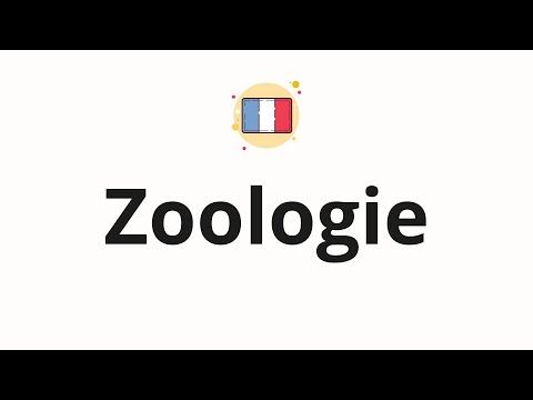 How to pronounce Zoologie
