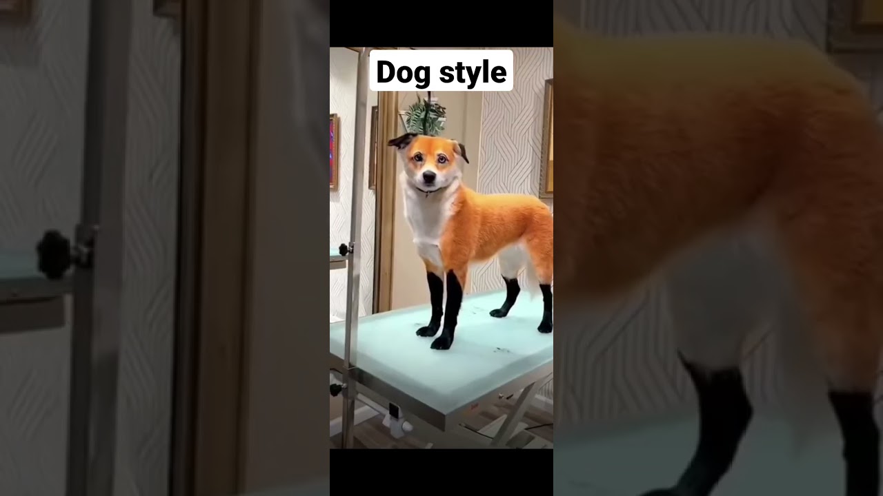 Dog Style