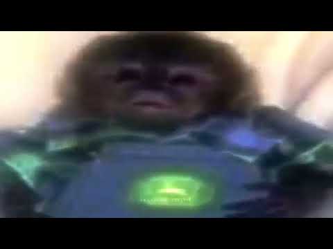 ok so basically I'm monkey meme