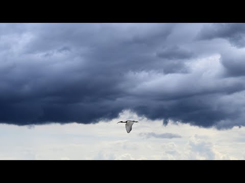 Adelaide hit with heaviest rain in 70 years