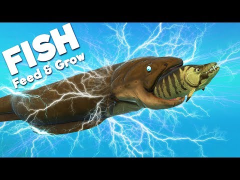 *NEW* GIANT ELECTRIC EEL IS INSANELY POWERFUL! | Feed and Grow Fish