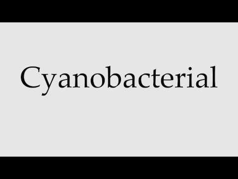 How to Pronounce Cyanobacterial