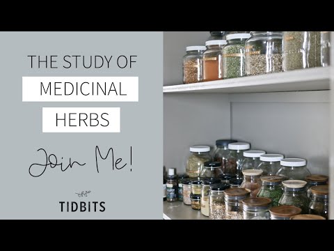 The Study of Medicinal Herbs | Let's Learn Together!
