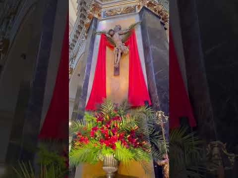 Hosanna! Blessed is he who comes in the name of the Lord, even the King of Israel 🌿🌿
