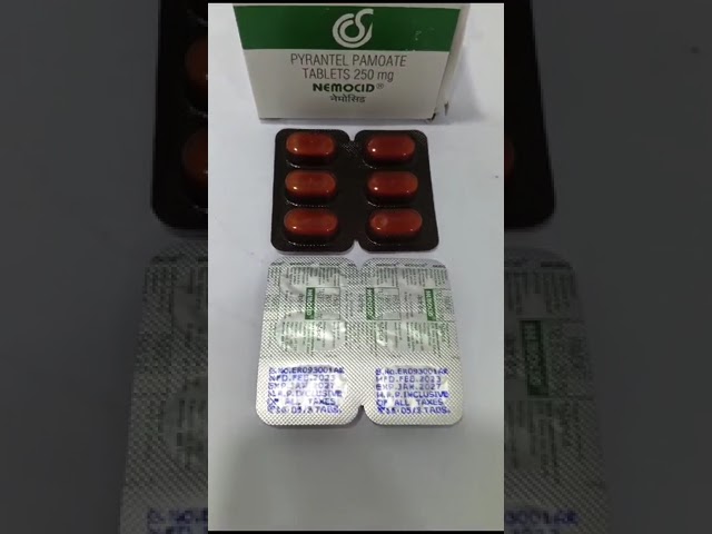 Helminthiasis - Vermisol 50 Mg Tablet Trader - Wholesaler / Distributor ...