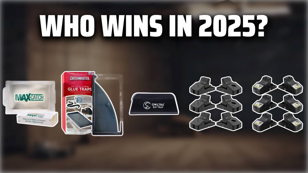 The Top 5 Best Rat Traps in 2025 - Must Watch Before Buying!