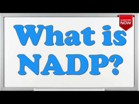 What is the full form of NADP?