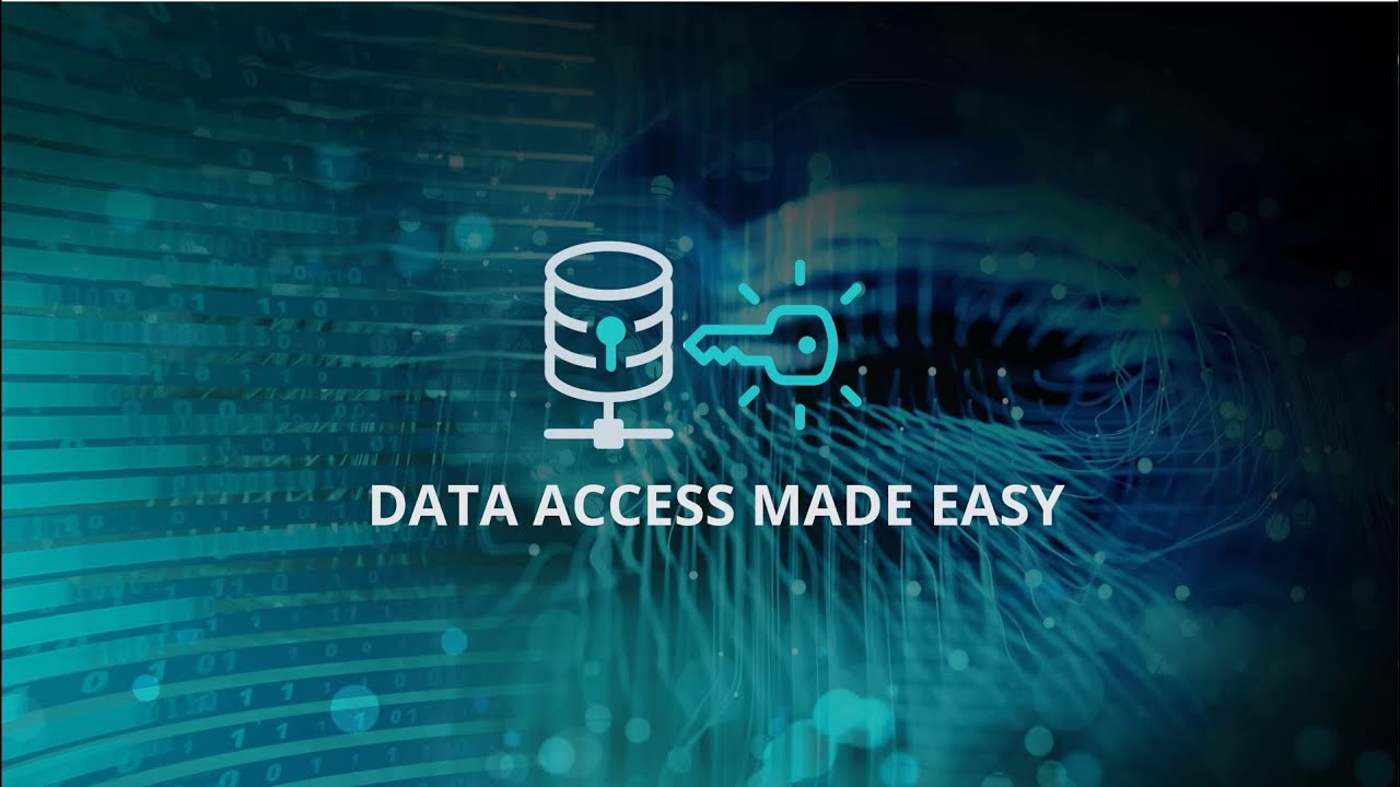 PolyWorks|DataLoop - Data access made easy