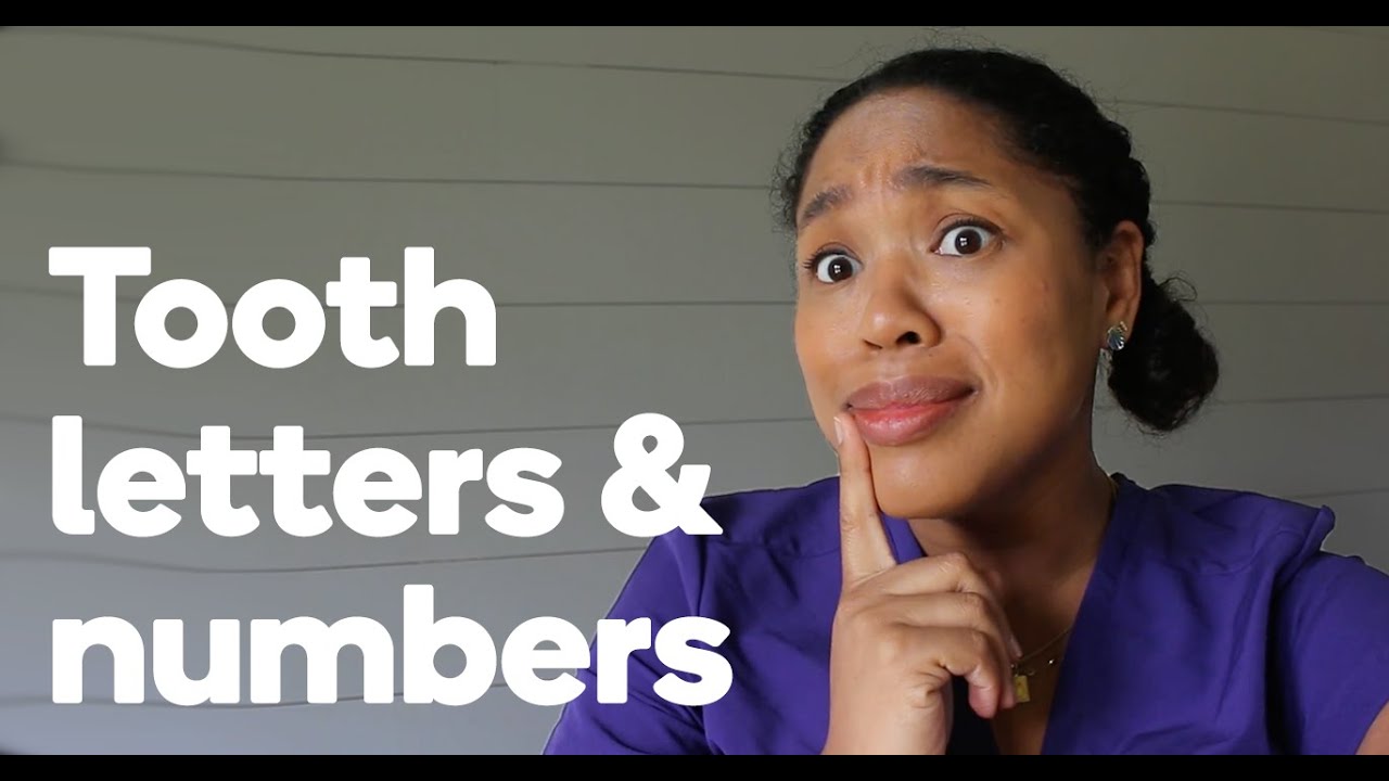 Understanding tooth letters and numbers