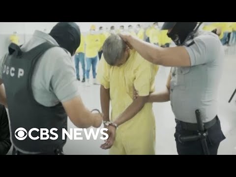 Why a judge ordered due process for men deported to El Salvador