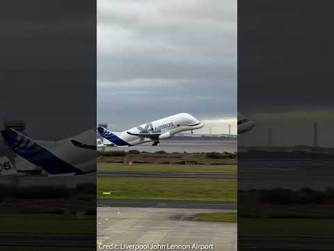 Beluga whale plane takes off from Liverpool John Lennon Airport