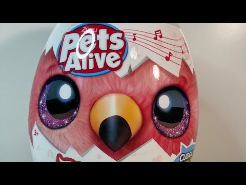 Surprise Chirpy Birds PETS ALIVE!