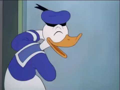 Funny GIF