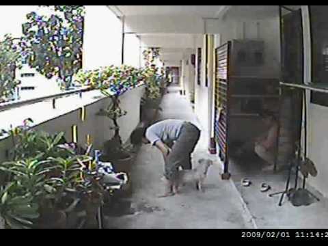 High Rise Littering | Preventcrime's Blog