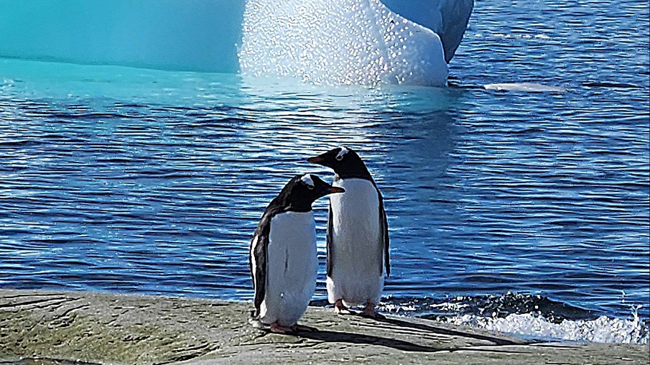 Antarctica trip presentation