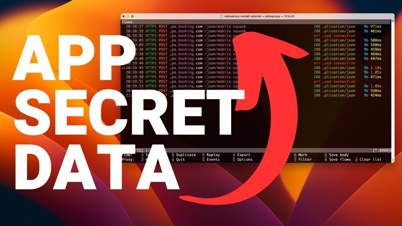 Unlocking Hidden API Data: Man in the Middle Proxy - Introduction to MITMProxy's Practical Power