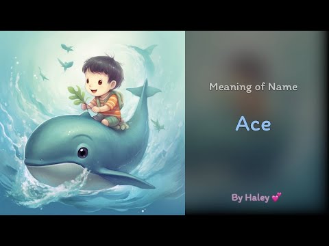 Ace - Name Meaning, Origin and Popularity