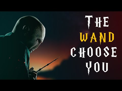 Which Harry Potter Wand Would You Have