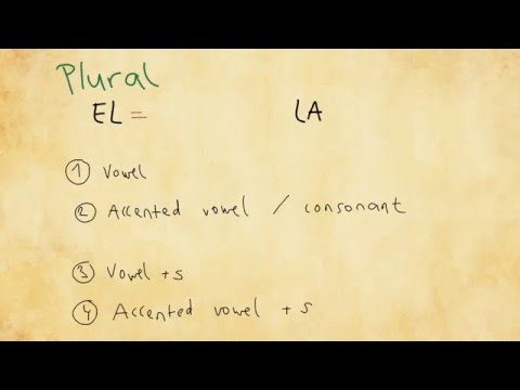 8 Forming Plurals in Spanish