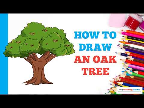 How To Draw An Oak Tree Step by Step – I'm Youtuber – Follow my videos ...