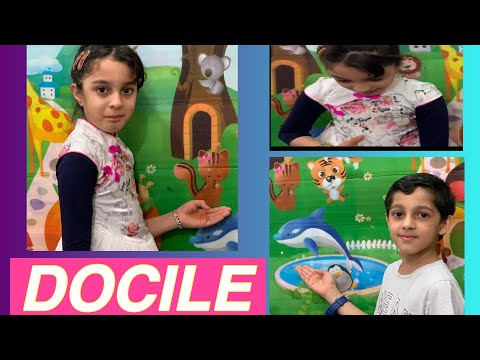 Vocabulary Word: DOCILE