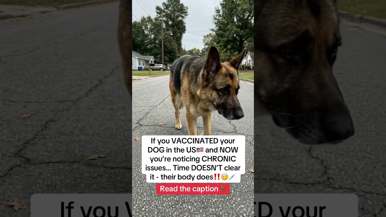 Check the pin comment📌