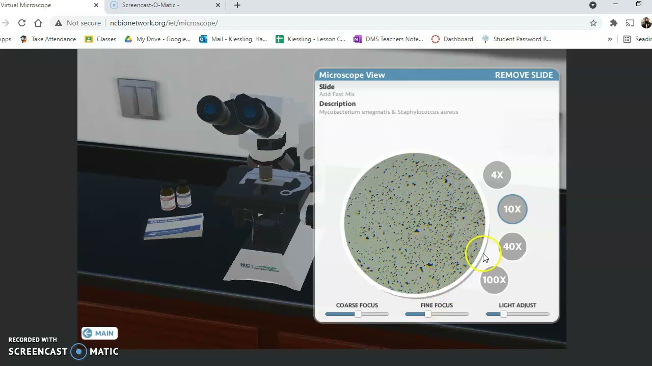 Virtual Microscope Lab Instructions