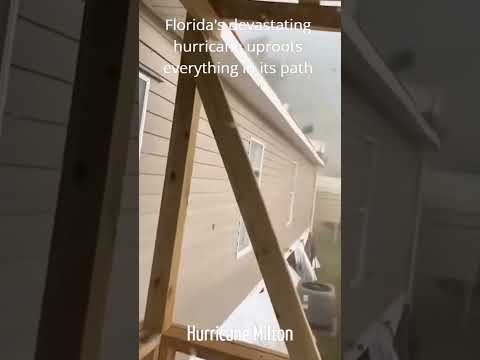 Florida's devastating Hurricane Milton uproots everything in its path