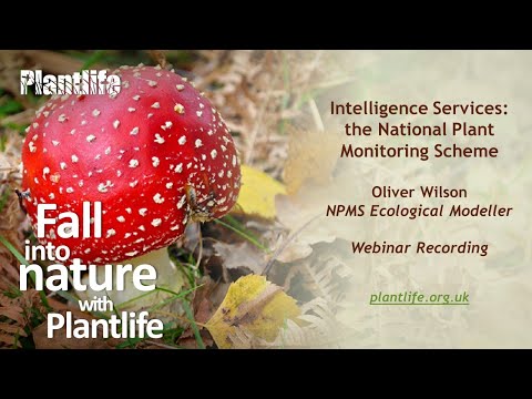 Intelligence Services: The National Plant Monitoring Scheme - Webinar Recording