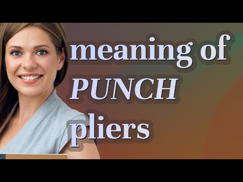 Punch pliers | meaning of Punch pliers