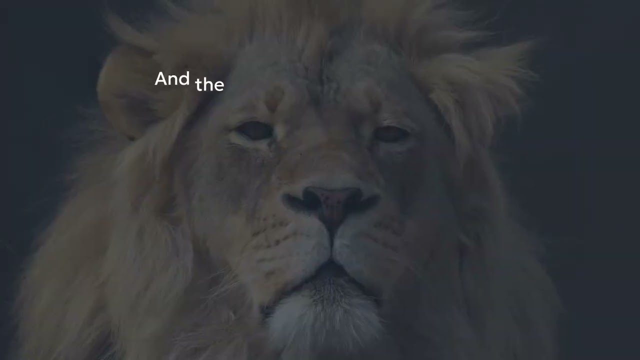 Revelation 4 King James Version