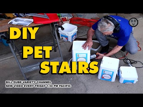 DIY PET STAIRS UNDER $1 #recycled material ♻