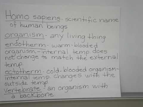 Ms. Melgard's Biology Vocabulary video with a doc cam.