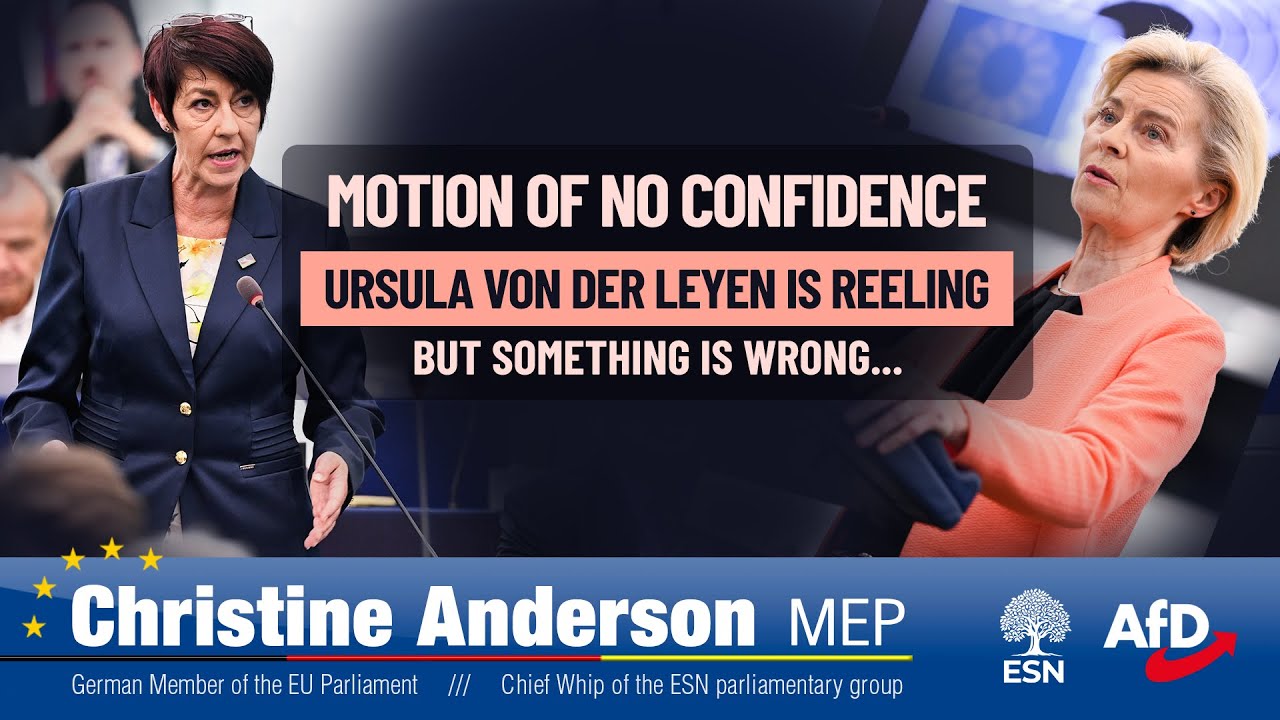 The MEP Christine Anderson States that MEPs Are Not Allowed to Speak ...