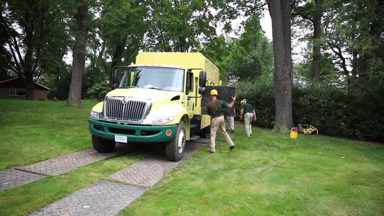 Bartlett Tree Experts - International Trail Magazine