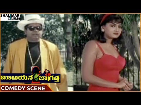Mee Aayana Jagratha || Brahmanandam & Raksha Funny Comedy Scene || Rajendra Prasad || Shalimarcinema