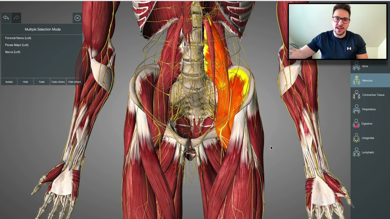 💥 THE ANATOMY OF LOWER BACK PAIN …