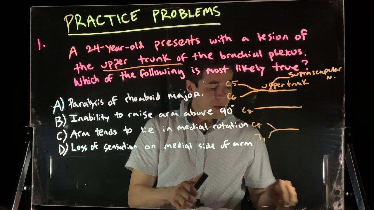 Quiz 2 Practice 1- Brachial Plexus Lesion | Upper Limb Anatomy | CHA 101 | UC Davis | Eric The Tutor