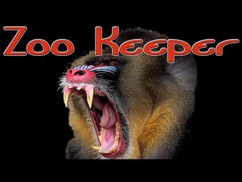 Zoo Keeper - Videogame by Taito | Museum of the Game